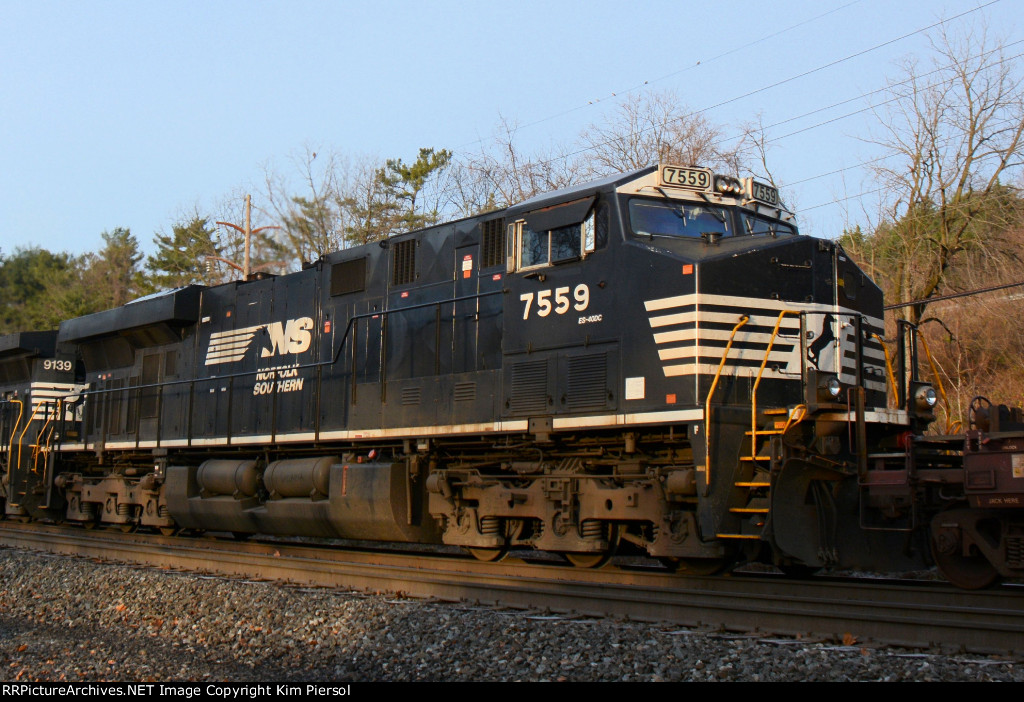 NS 7559